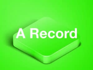 What Is an A Record? - Domain Name Sanity Blog